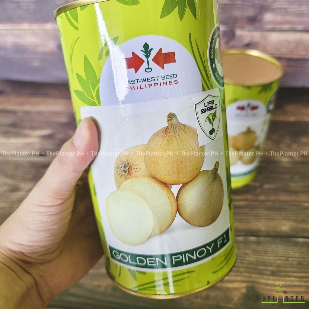 RED PINOY VARIETY ONION SEEDS (400g) - EAST-WEST SEED ( SIBUYAS ...