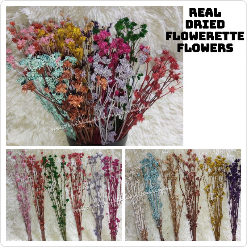 (PER STEM) REAL DRIED SMALL FLOWERETTE FLOWERS not per bundle/ actual ...