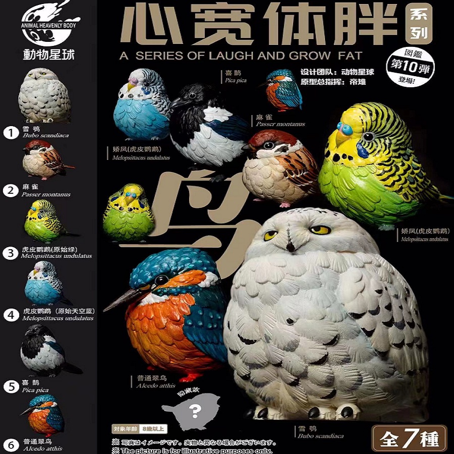 Animal Planet Heart Wide Body Fat Tenth Bullet Birds Snow Owl Magpie ...