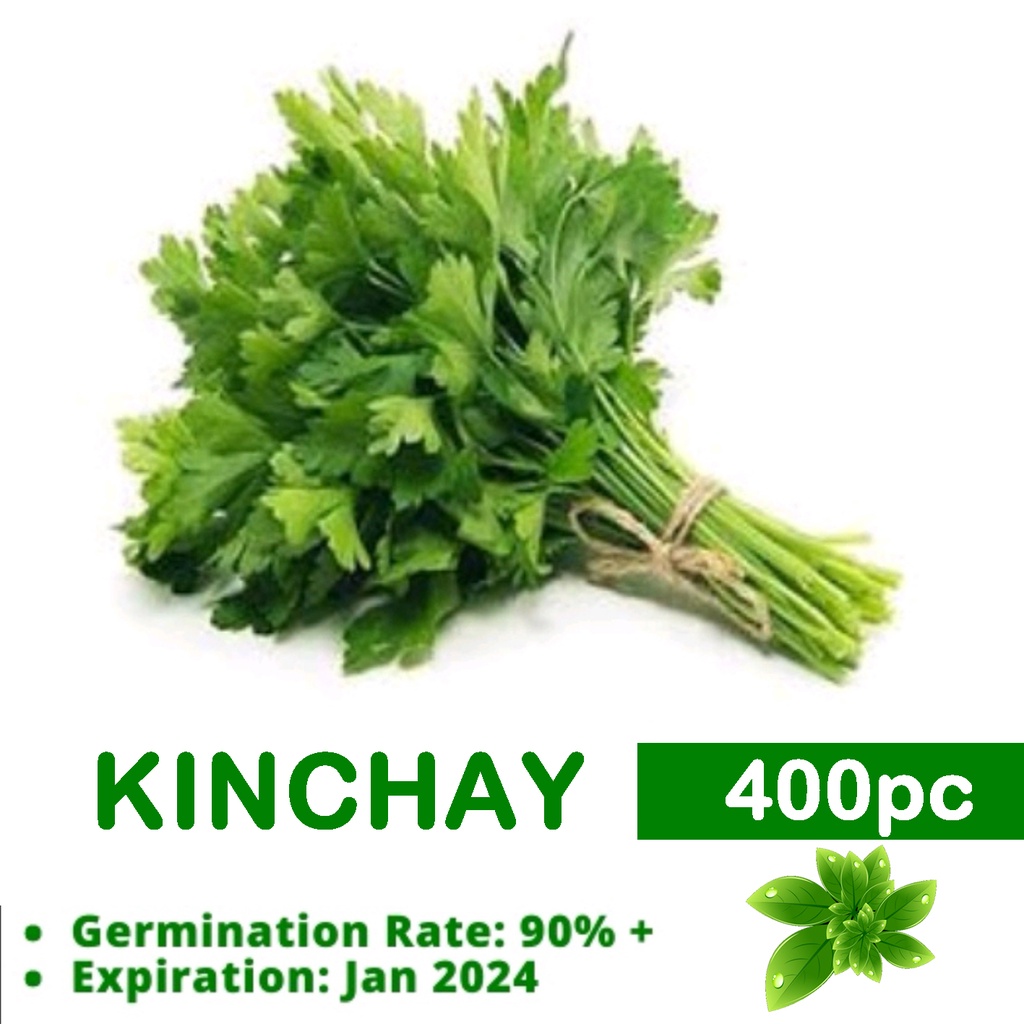 Vegetables Seeds kamatis talong pechay ampalaya sigarilyas upo lettuce ...