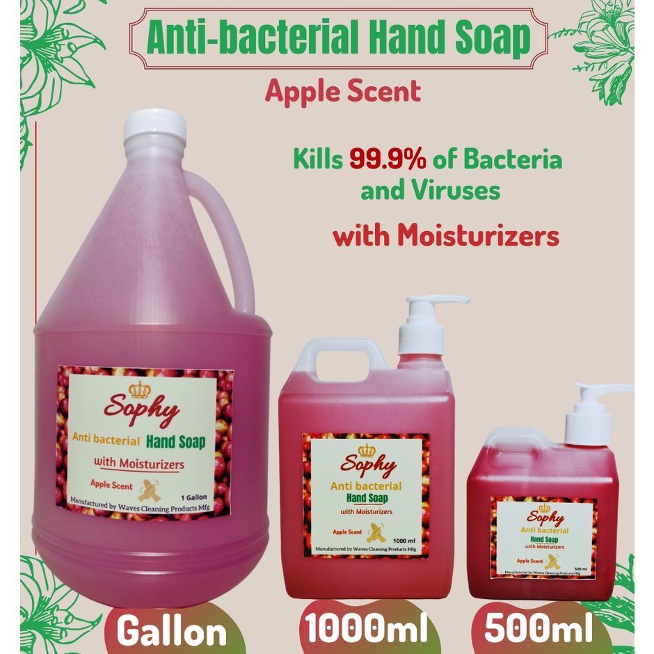 Sophy Anti Bacterial Liquid Hand Soap With Moisturizer Apple Scent