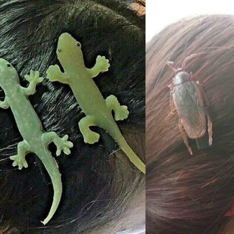 ๑۩Lizard / Cockroach Hair Pin / Hair Clip - From Thailand | Shopee ...