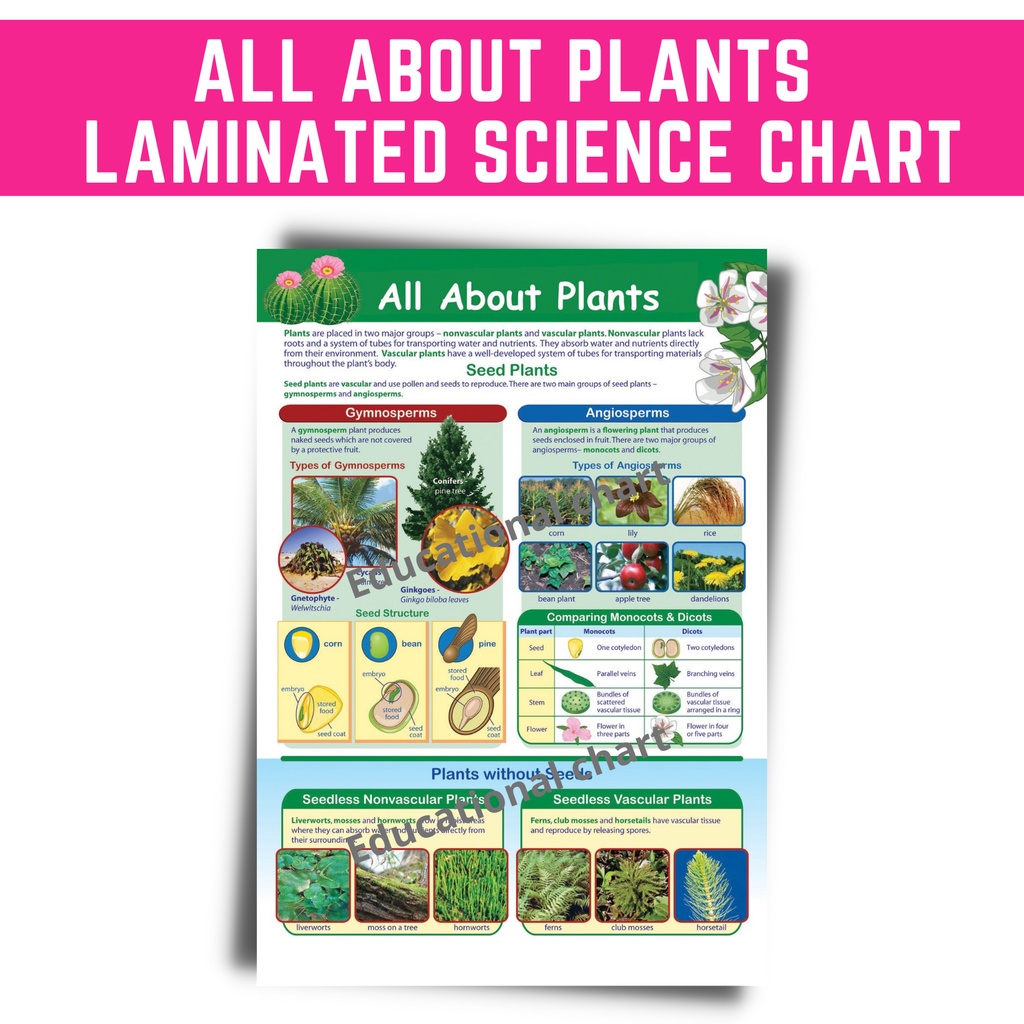 ALL ABOUT PLANTS POSTERS CHARTS I ALL ABOUT SCIENCE CHARTS, A4 Size ...