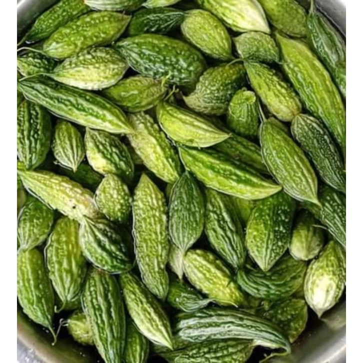 Ampalayang Haba / Ampalayang Ilocano native ampalaya Certified seeds ...