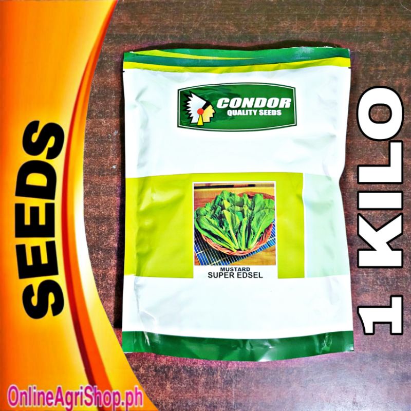 SUPER EDSEL MUSTARD / MUSTASA SEEDS (1 KILO) BY CONDOR SEEDS | Shopee ...