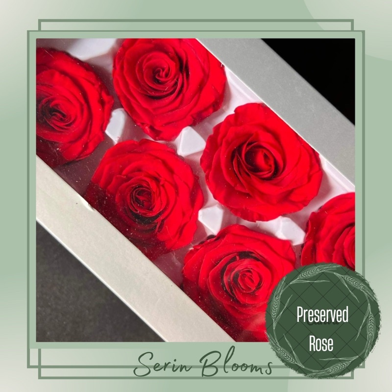 Preserved Rose (Real Rose) sold per box 6 pcs | Shopee Philippines