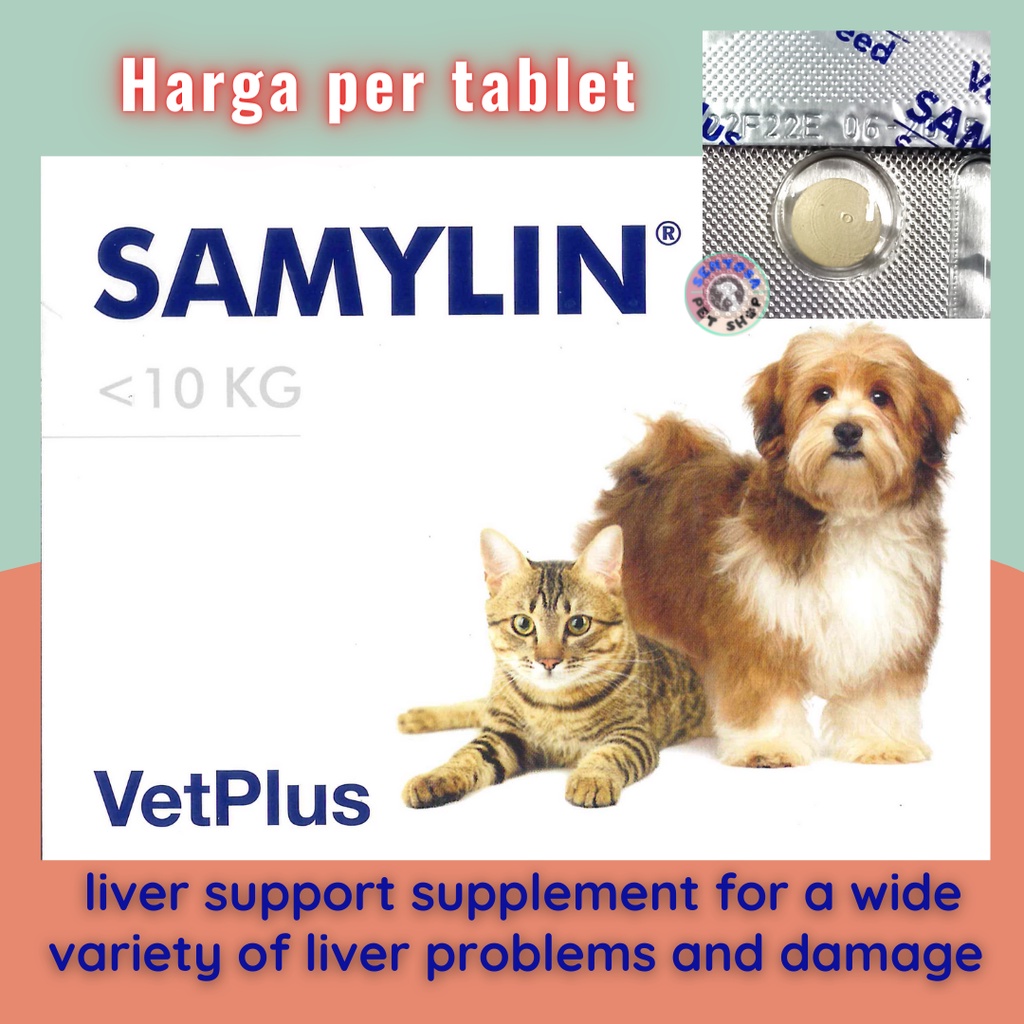 Samylin Small Breed - liver medicine for cats & dogs (1 tablet ...