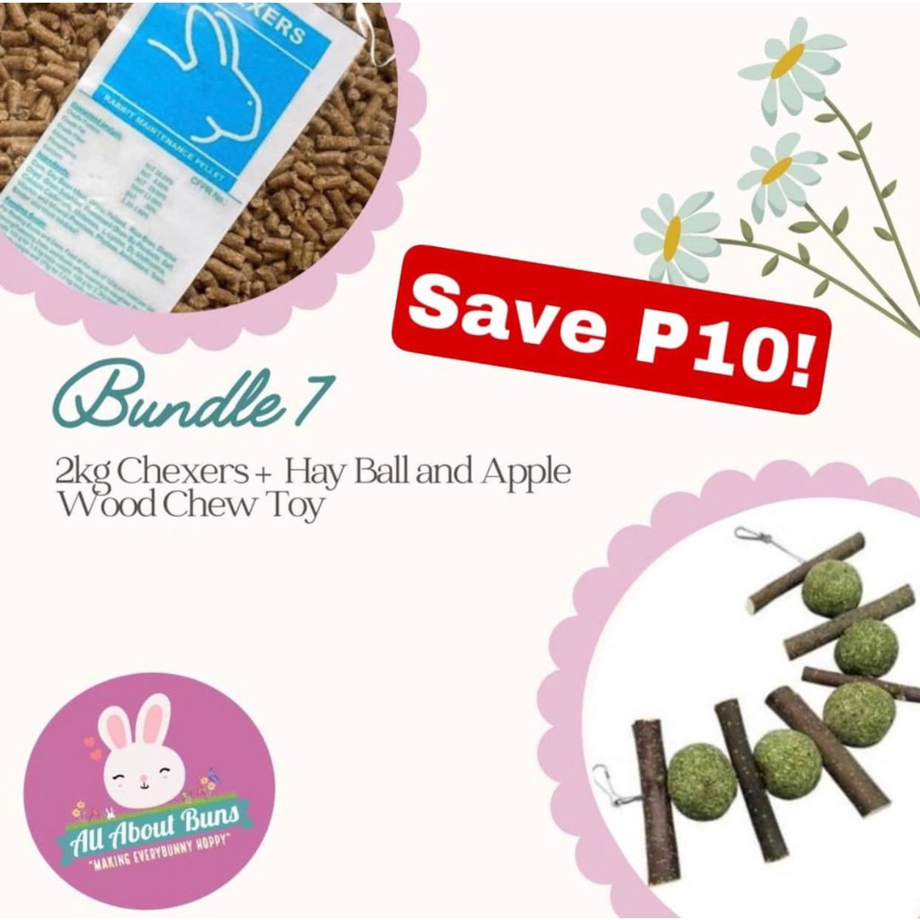 ALL ABOUT BUNS Bundle 7 for Rabbits (2kg Chexers + Hay Ball and Apple ...