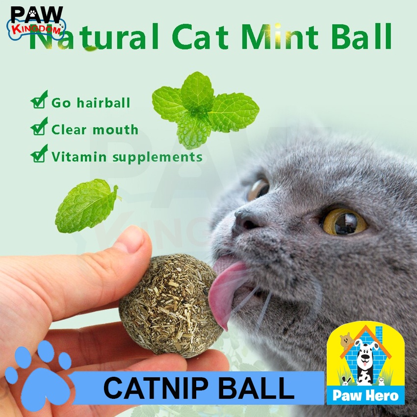 Bioline Catnip Ball Cat Toy Cat Natural Mint Kitten Treat Ball Cleaning Teeth Toy by PAW HERO ...