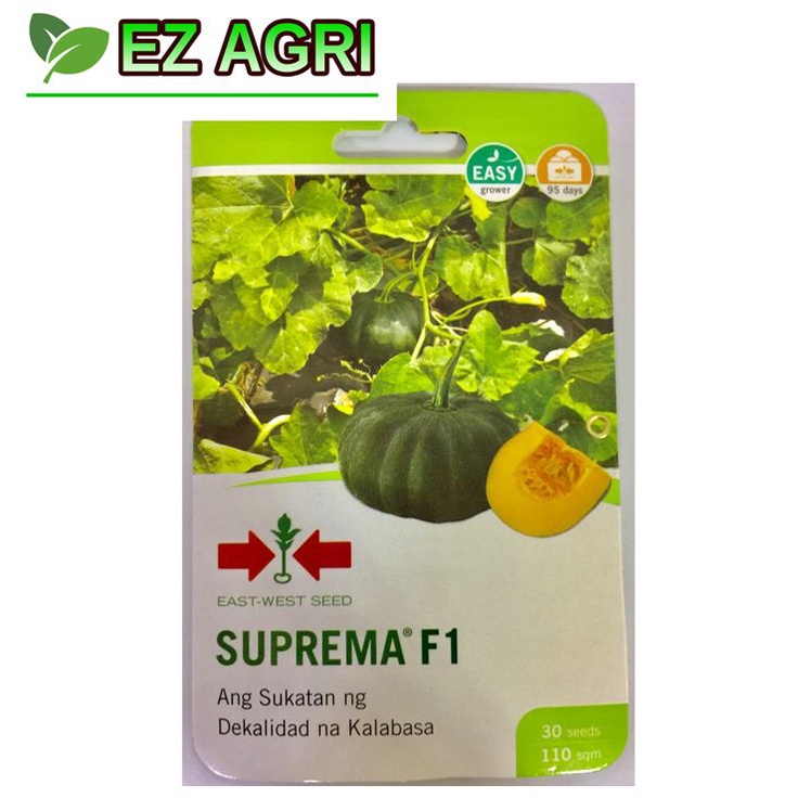 Fast Shipping Kalabasa seeds F1 Hybrid disease resistant Squash buto ...