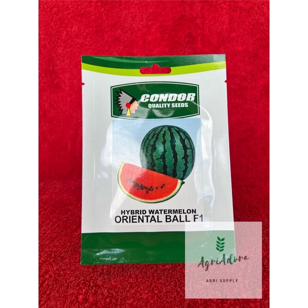 ORIENTAL BALL F1 Hybrid Watermelon Seeds Pack (CONDOR) | Shopee Philippines