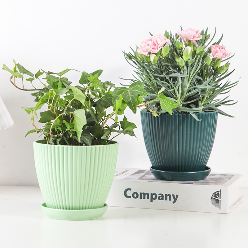 LHK 6pcs NEW!! Upgraded Flower Vase/Table Flower Pot with Plate Flower ...