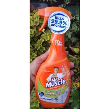 Mr.Muscle Multi-Surface Cleaner Spray | Shopee Philippines