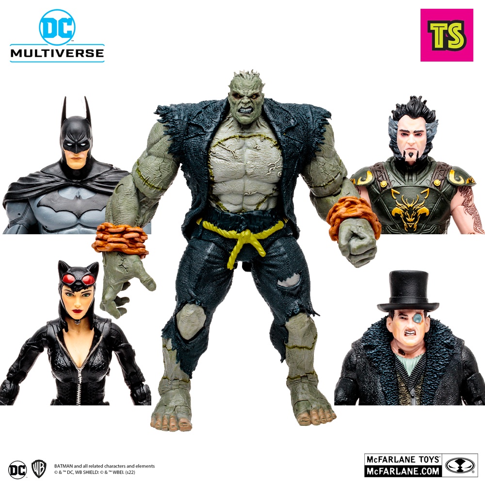 BUILD-A SOLOMON GRUNDY, BATMAN: ARKHAM CITY SET OF 4 + 1, DC MULTIVERSE BY MCFARLANE | TOYSACK ...