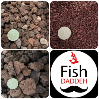 Fish Daddeh, Online Shop | Shopee Philippines
