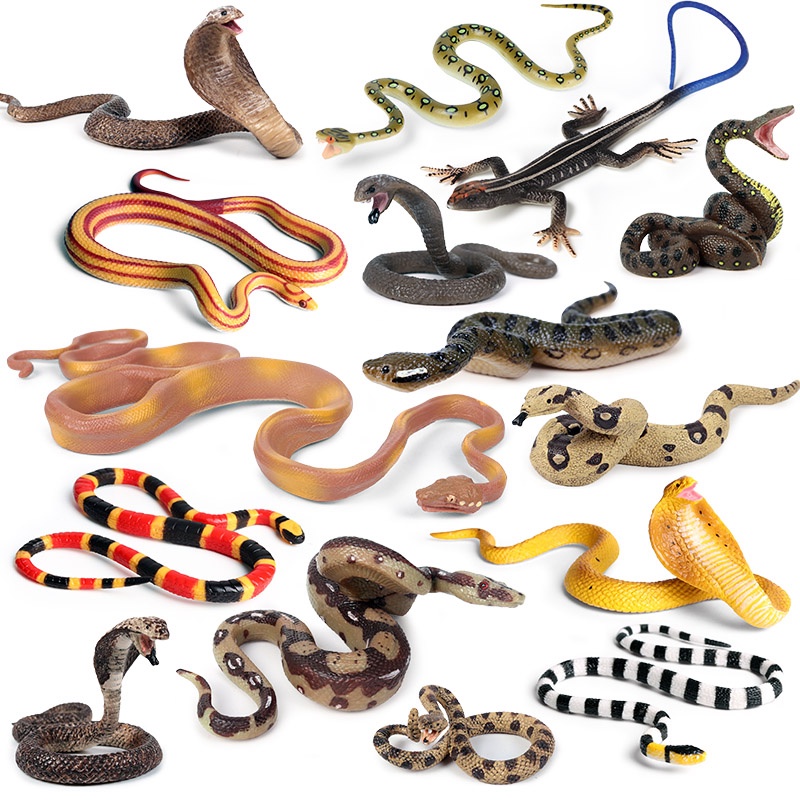 Forest Savage Snakes Simulation Animals Rattlesnake Python Cobra Action ...
