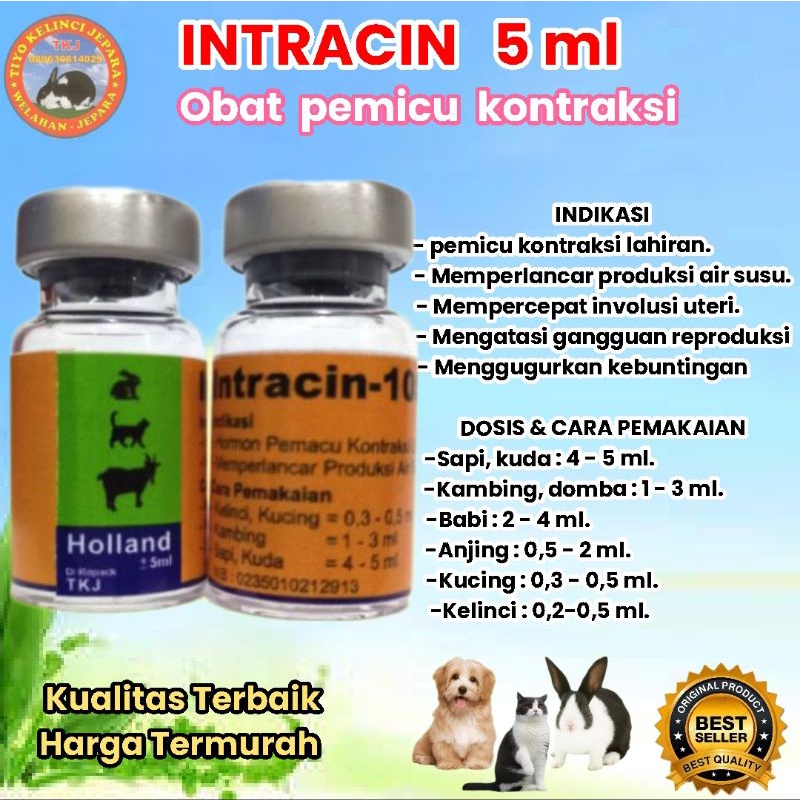 Intracin 10 s contains 5 ml to improve breast milk water. | Shopee ...