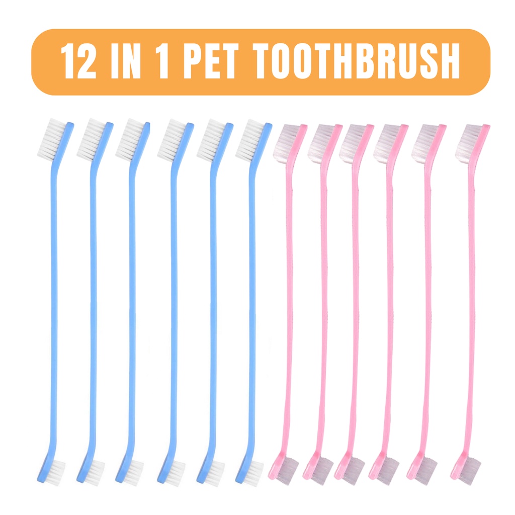 10pad 12pcs Pet Double Sided Long Toothbrush Pet Brush Dental Brush Pet ...