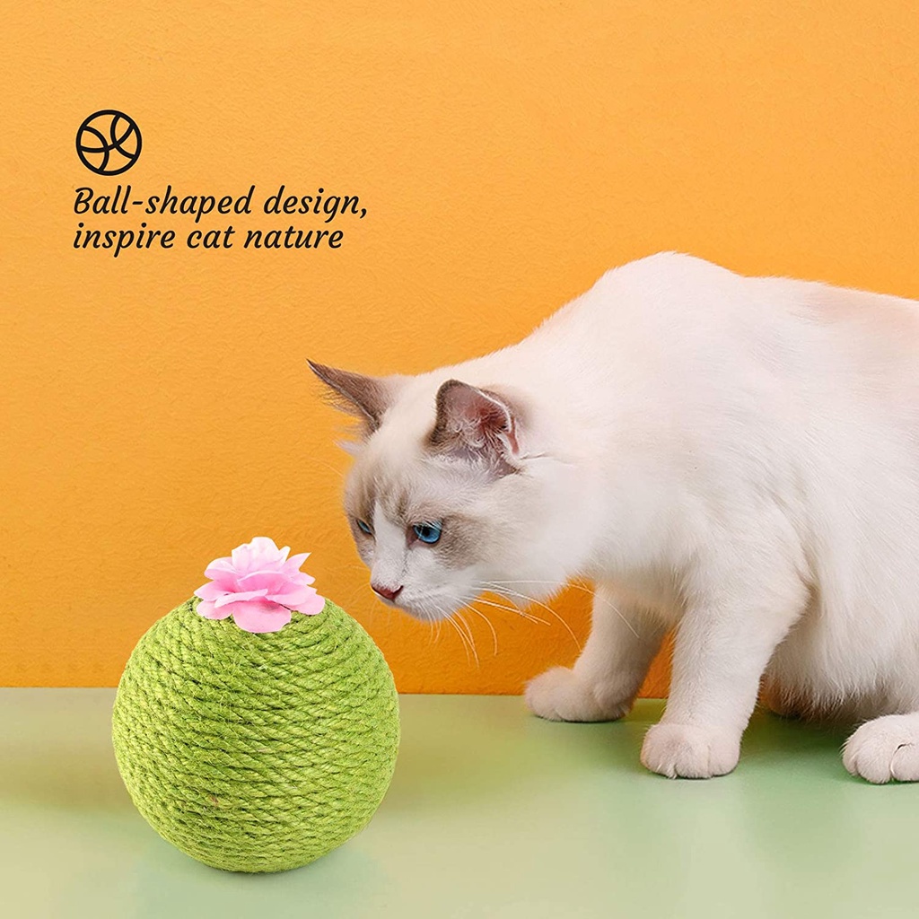 Cat Roly-Poly Scratcher Ball, Cactus Shaped Cat Scratcher, Interactive ...