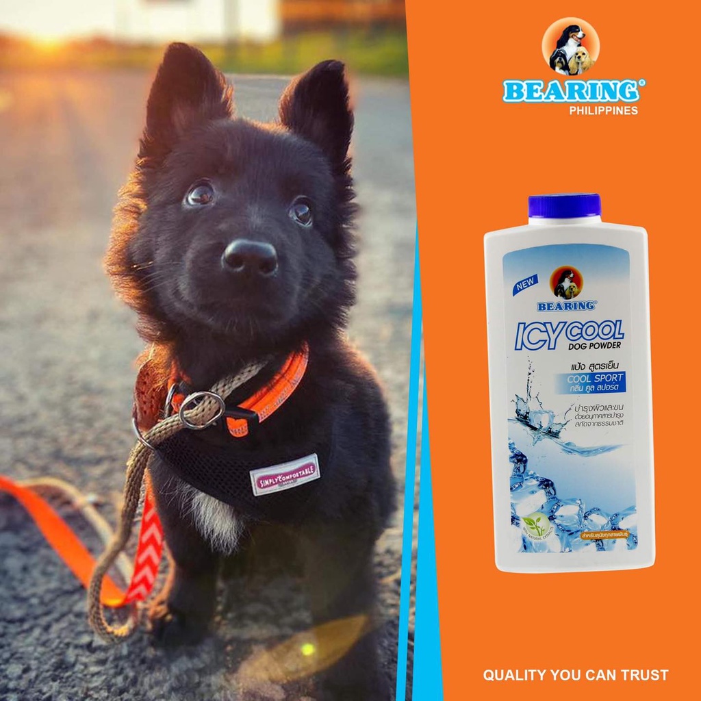 Bearing Icy Cool Dog Powder 150g | Shopee Philippines