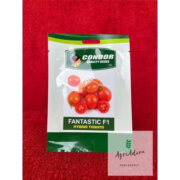 FANTASTIC F1 Hybrid Tomato Seeds Pack (CONDOR) | Shopee Philippines