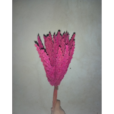 Trigo grass per bundle (₱40 per bundle) | Shopee Philippines