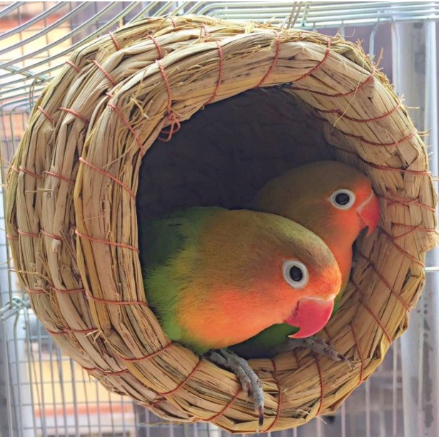 HANDWOVEN WARM Straw Bird Nest House Parrot Hatching Breeding Natural ...