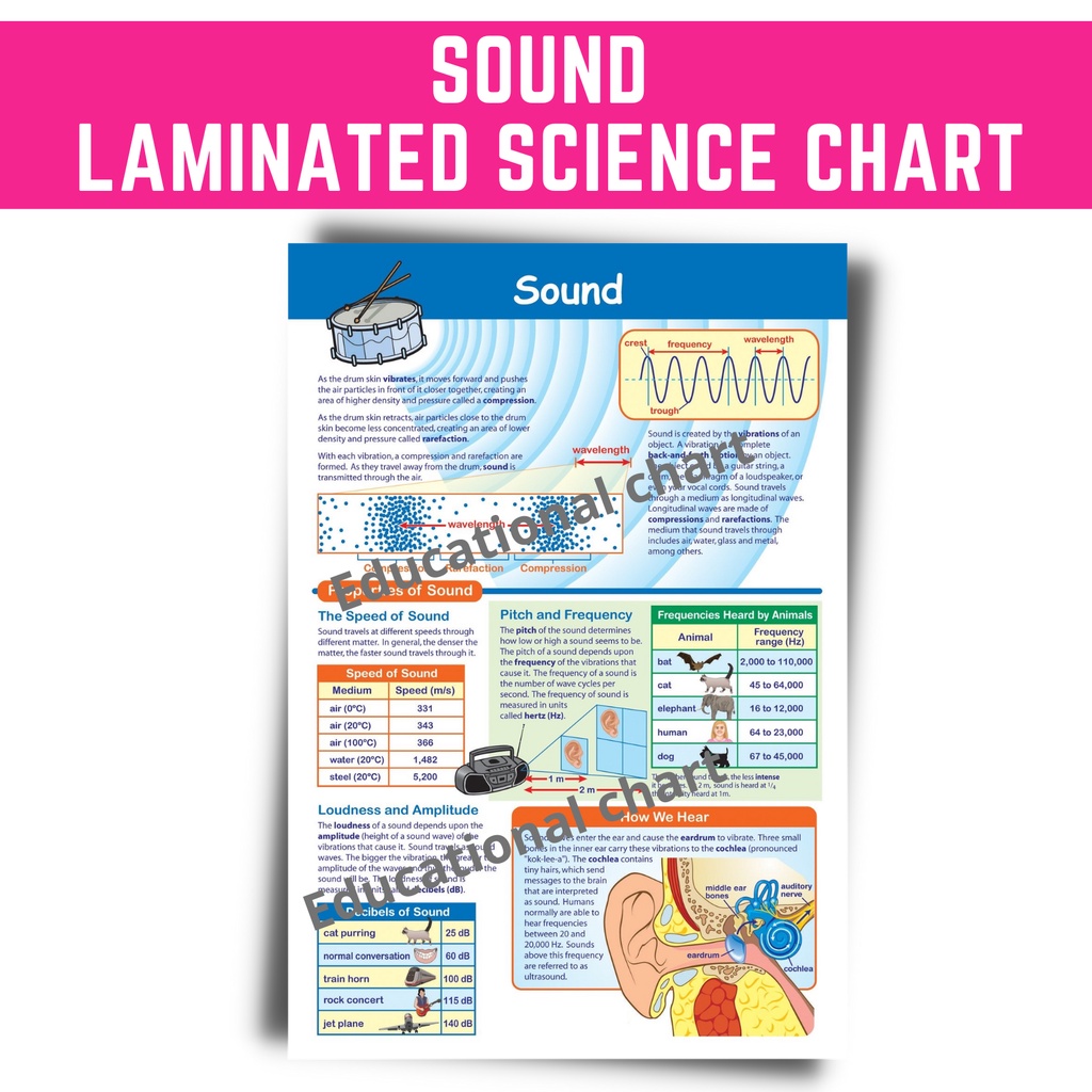 SOUND POSTERS CHARTS I ALL ABOUT SCIENCE CHARTS, A4 Size Laminated for ...
