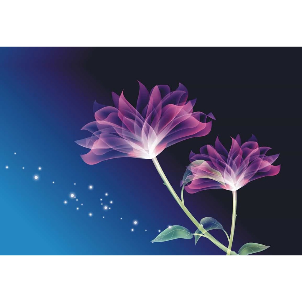 2Pcs Universal Laptop Sticker Freestyle Notebook Protector Cover ...