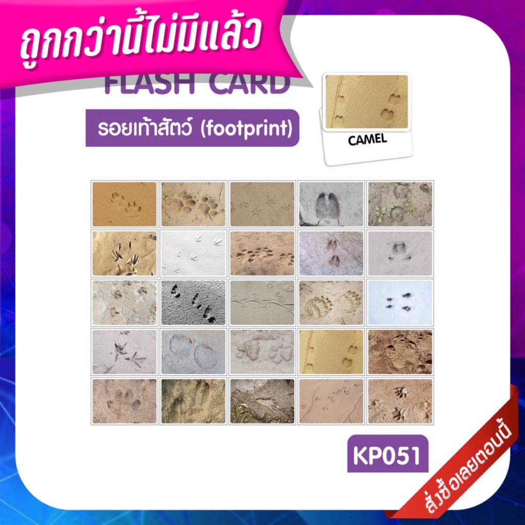 Kidplearn Flash Card Animal Footprint (Flashcard Footprint) Flashcard ...
