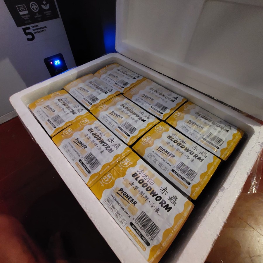 PIONEER FROZEN WORM PIONEER FROZEN BLOOD WORM SPECIAL FOR GOJEK AND ...