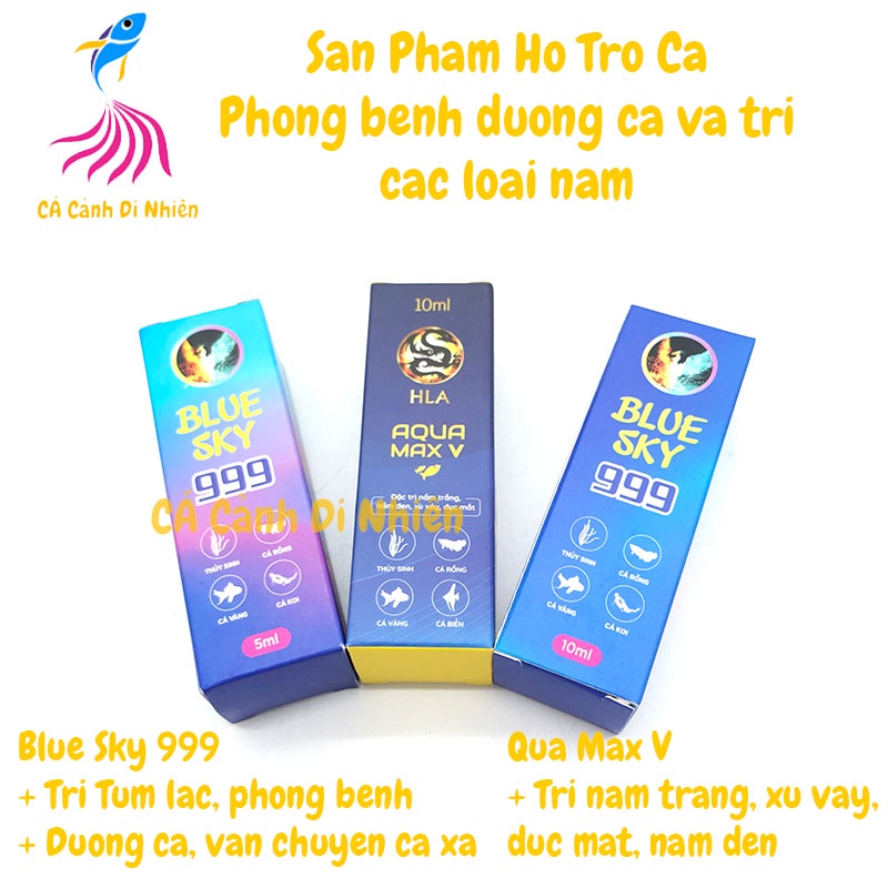 Blue Sky 999 & Anti Stress nourishes fish and prevents fungus for ...