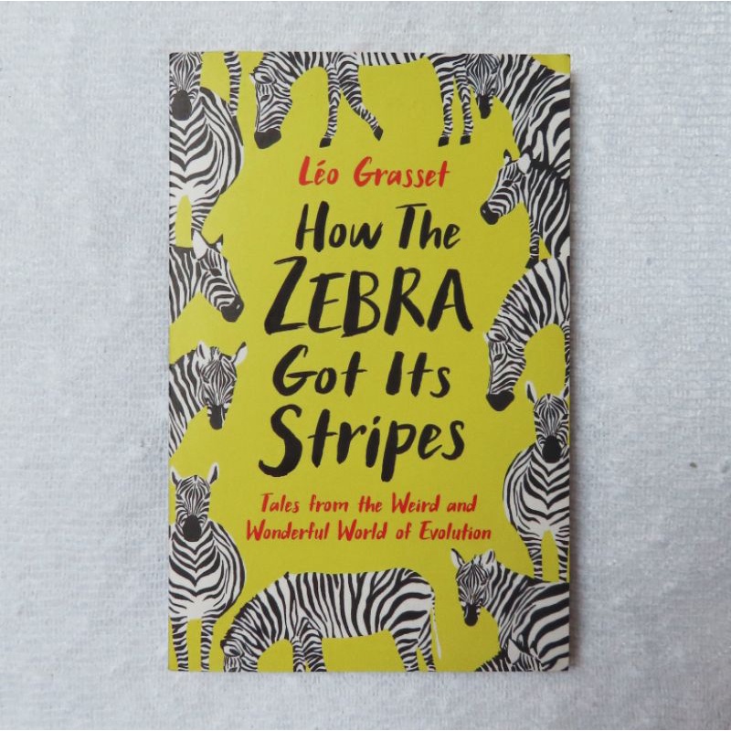 How the Zebra Got Its Stripes | Shopee Philippines
