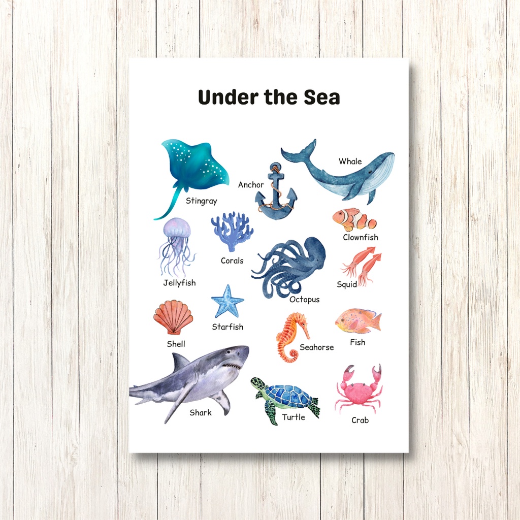 A3 A4 Laminated Educational Poster, Animal Farm Animals Sea Fruit ...