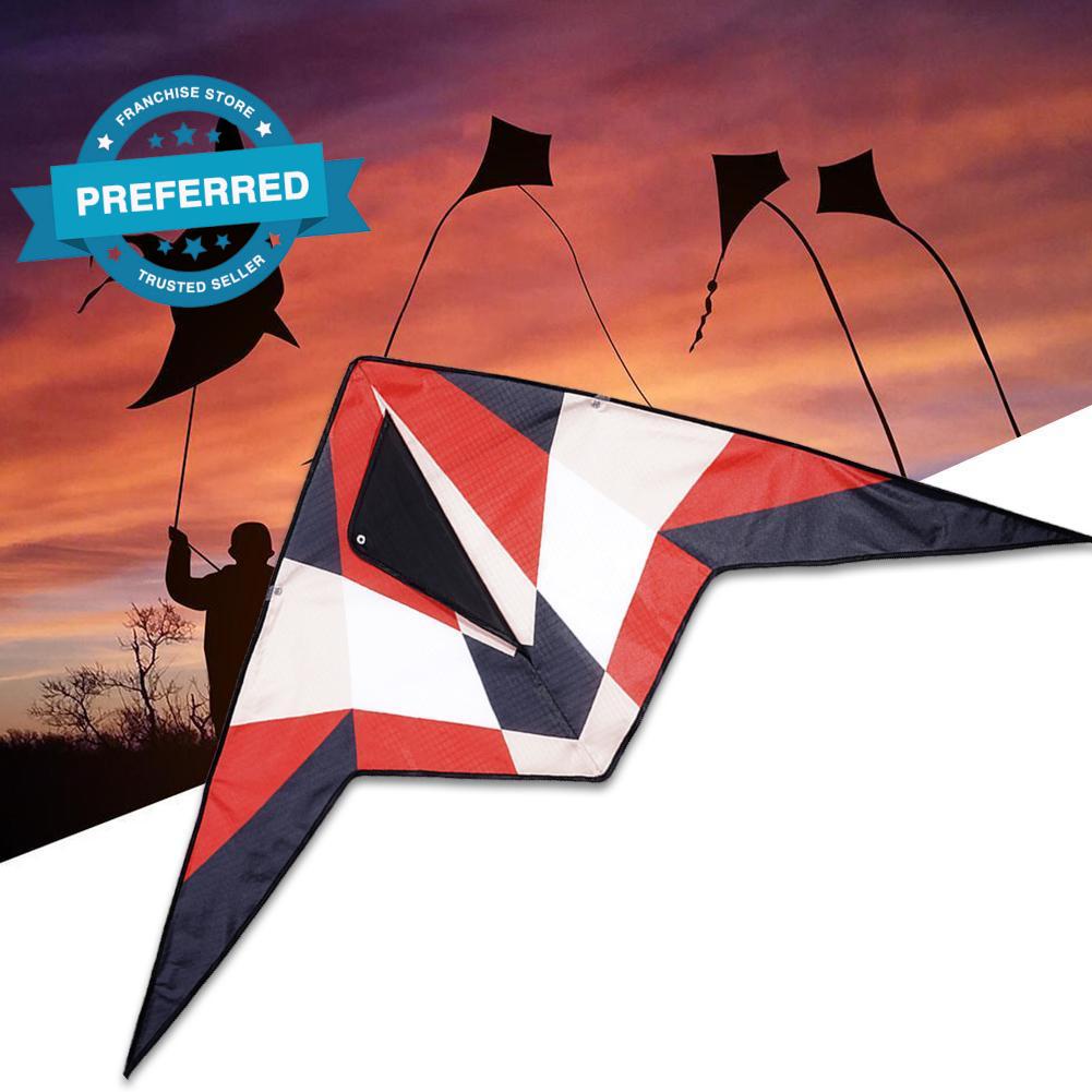 Large Delta Fighter Kite For Kids And Adults Single Line Easy To Fly ...