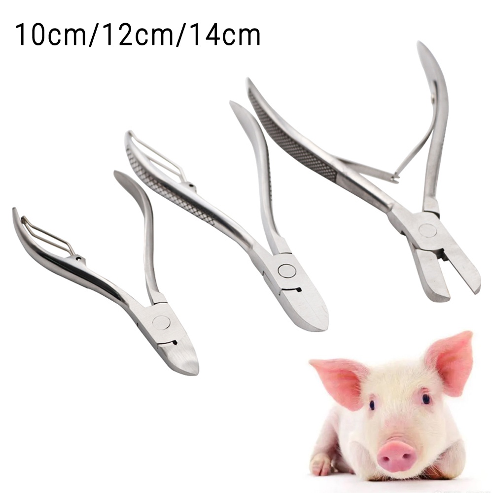 10/12/14CM Stainless Steel Piglets Teeth Clipper Teeth Cutter Tooth for ...