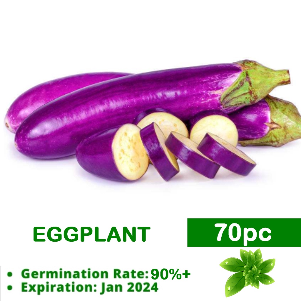 Vegetables Seeds kamatis talong pechay ampalaya sigarilyas upo lettuce ...