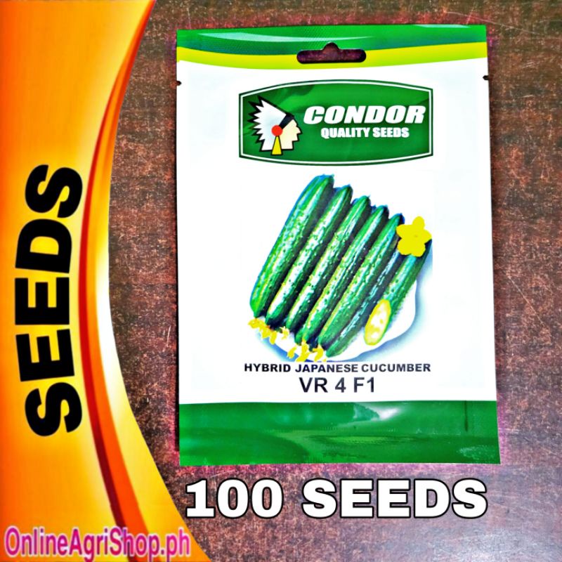 VR 4 F1 (100 SEEDS) HYBRID JAPANESE CUCUMBER SEEDS BY CONDOR QUALITY ...