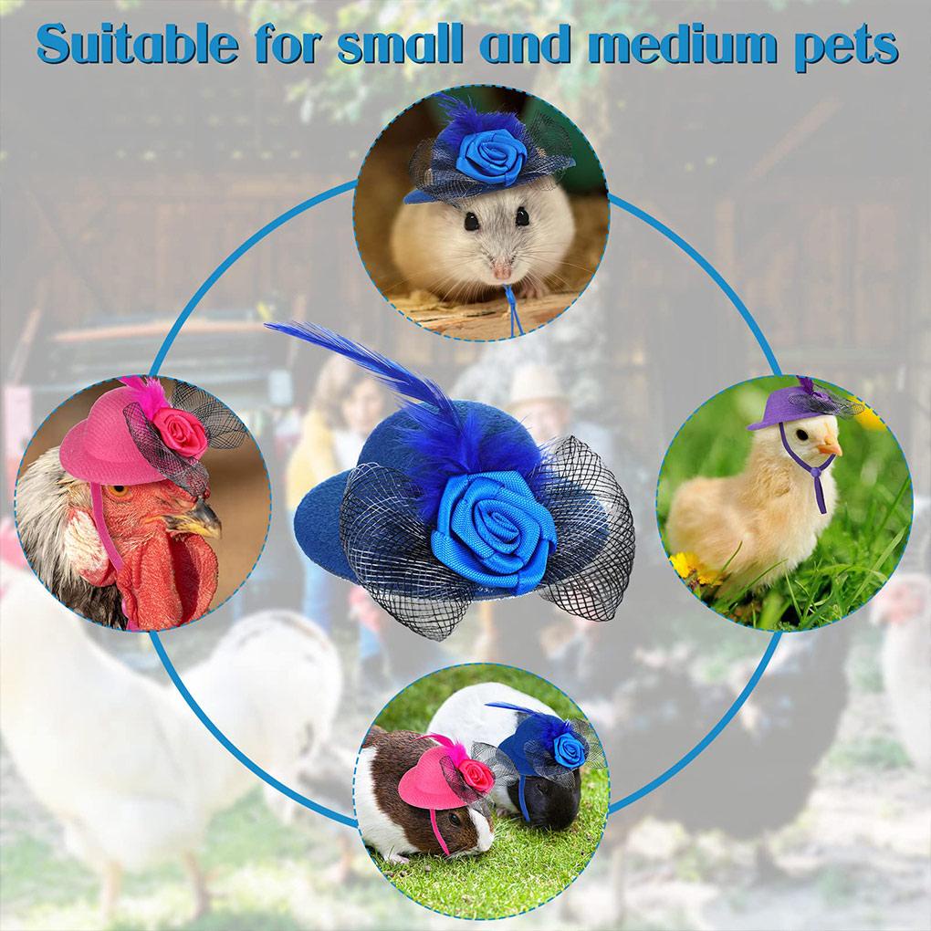 2/3/5 Funny Chicken Hats Mini Hem Feather Cap Banquet Decoration Stage ...