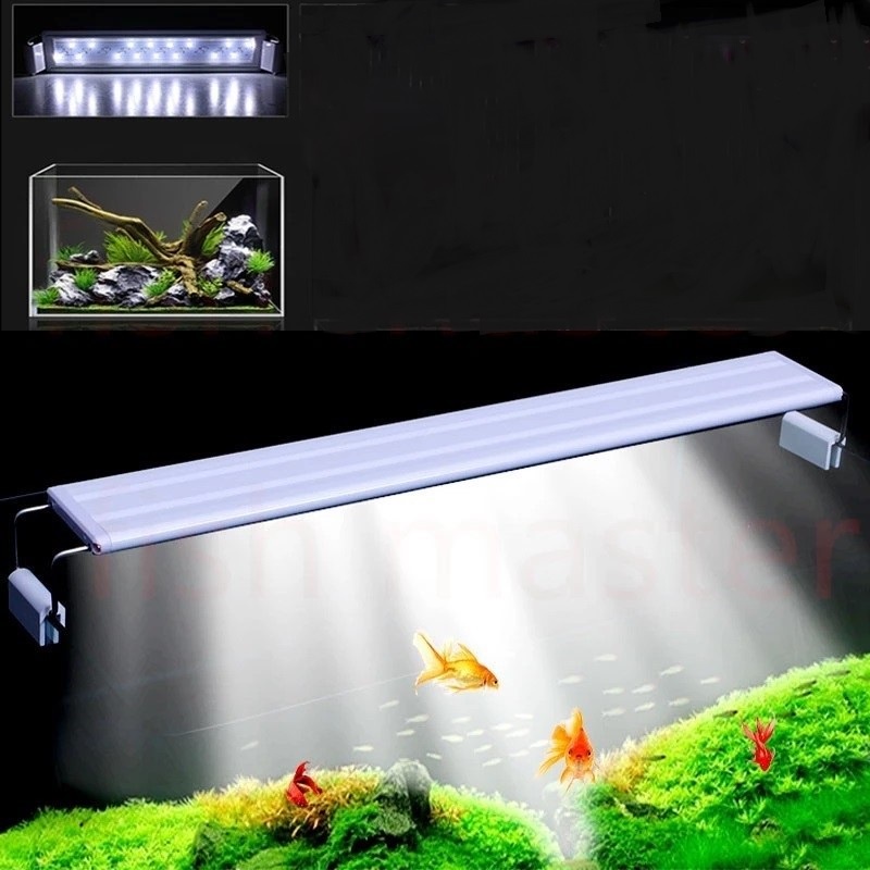 Aquarium LED Light Fish Tank Help Plants Grow (Blue/White) | Shopee ...