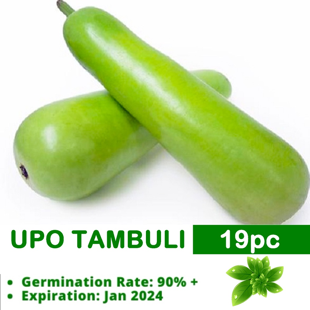 Vegetables Seeds kamatis talong pechay ampalaya sigarilyas upo lettuce ...