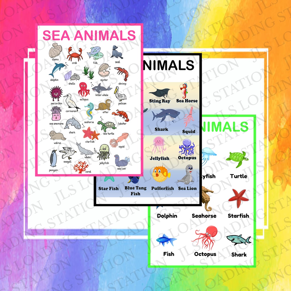 EDUCATIONAL CHARTS SEA ANIMALS (LAMINATED) A4 SIZE | Shopee Philippines