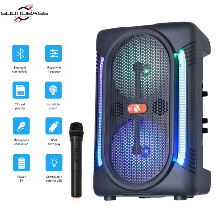 Rechargeable Karaoke Sound Wireless and Bluetooth Speaker KTS-1329 6.5 ...