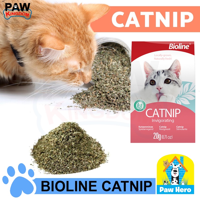 Bioline Catnip Invigorating Organic Premium Potent Catnip Use On Cat Toys Teasers Scratch