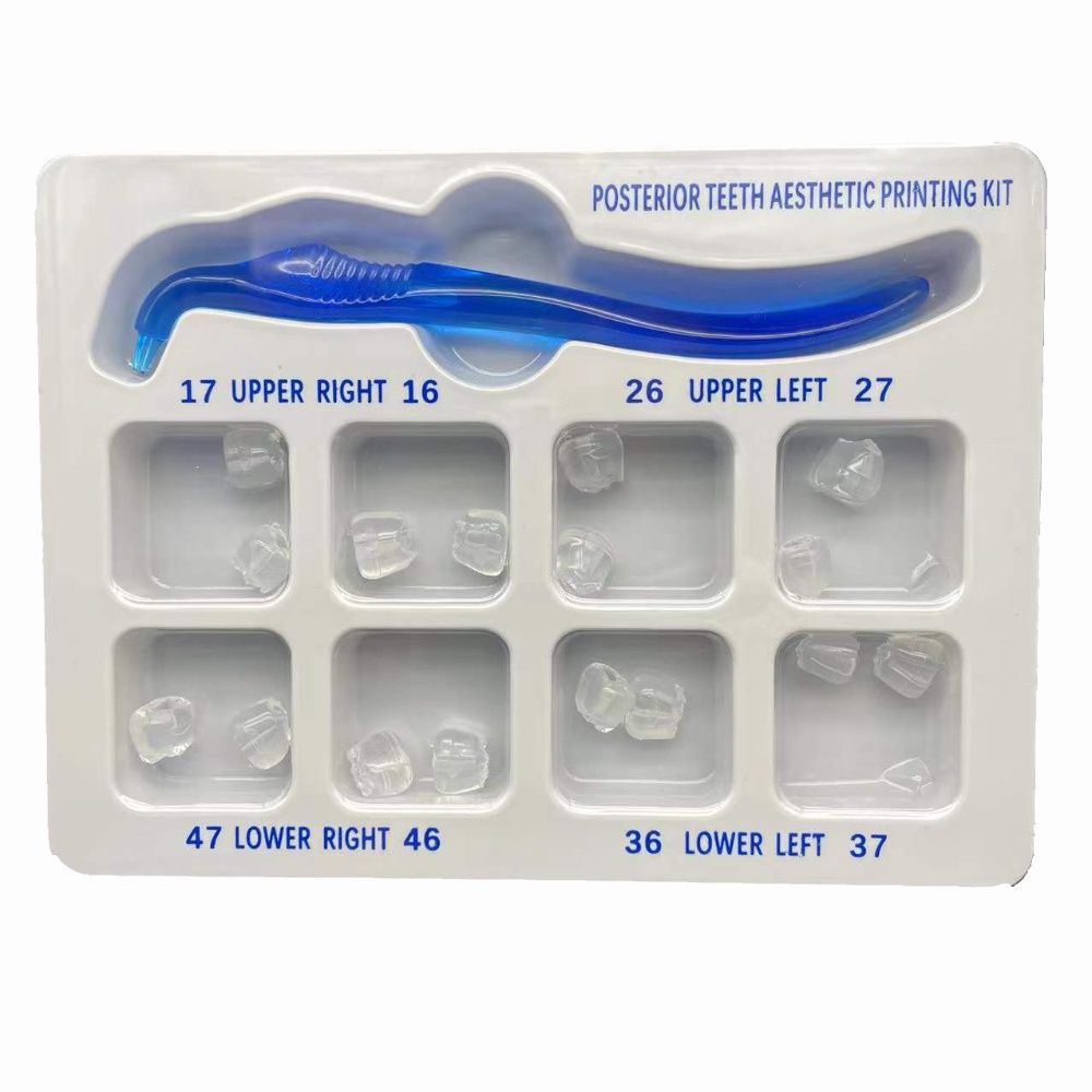 Set Dental Injection Mould Posterior Teeth Aesthetic Printing Mould Kit ...