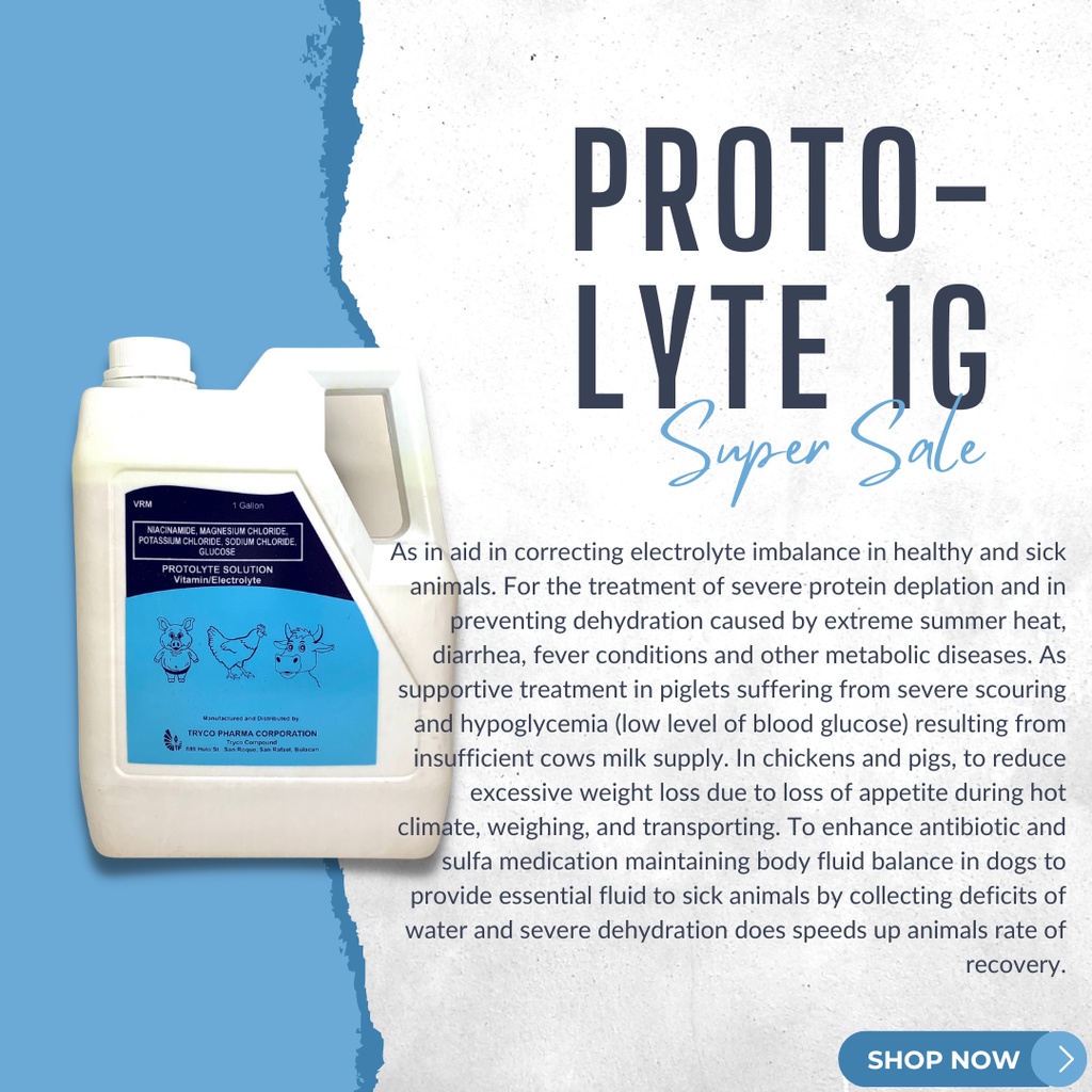 [AGRIVET] PROTO-LYTE Syrup ELECTROLYTE 1 Gallon / Vitamin Mineral ...