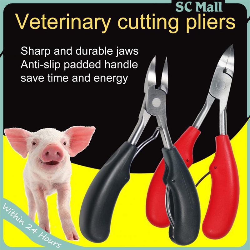 Piglet Teeth Cutter Stainless Steel Pig Tooth Nipper Pet Cutting Teeth ...