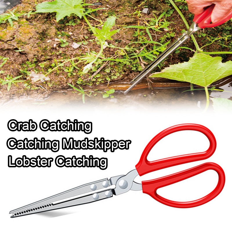 Eel Clip Stainless Steel Anti-slip Clip Tooth Clamp Sea Crab Tongs ...