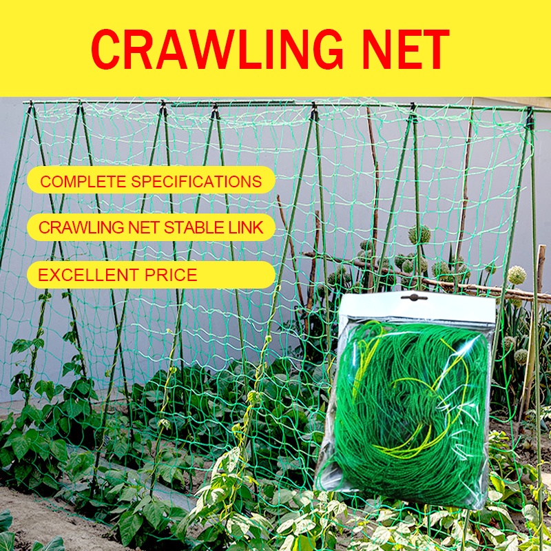 Garden Green Nylon Trellis Netting Support Climbing Bean Plant Nets Grow Fence | Shopee Philippines