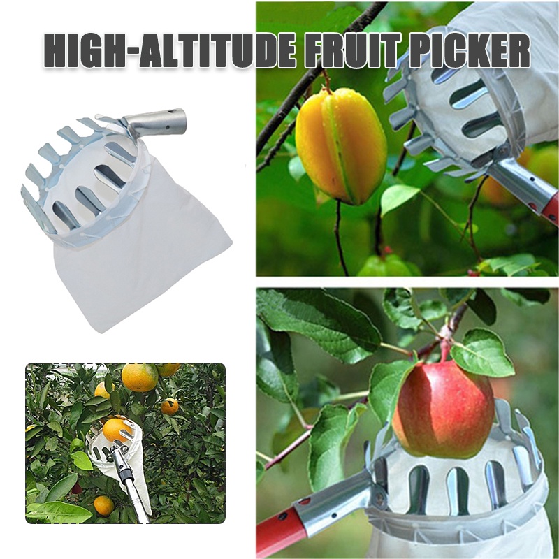 Fruit Picker Rod Fruit Picker Stainless Steel Picking Fruit Picking ...